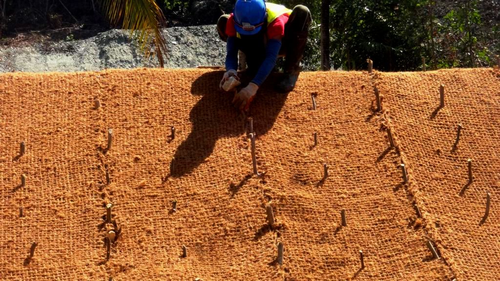 8 Macam Manfaat Sabut Kelapa dalam Kehidupan Sehari-hari - Batok Kelapa