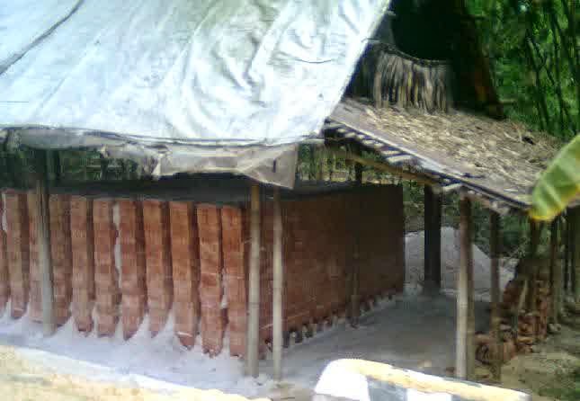 Manfaat Sabut Kelapa dalam Kehidupan Sehari-hari Manfaat Sabut Kelapa dalam Kehidupan Sehari-hari
