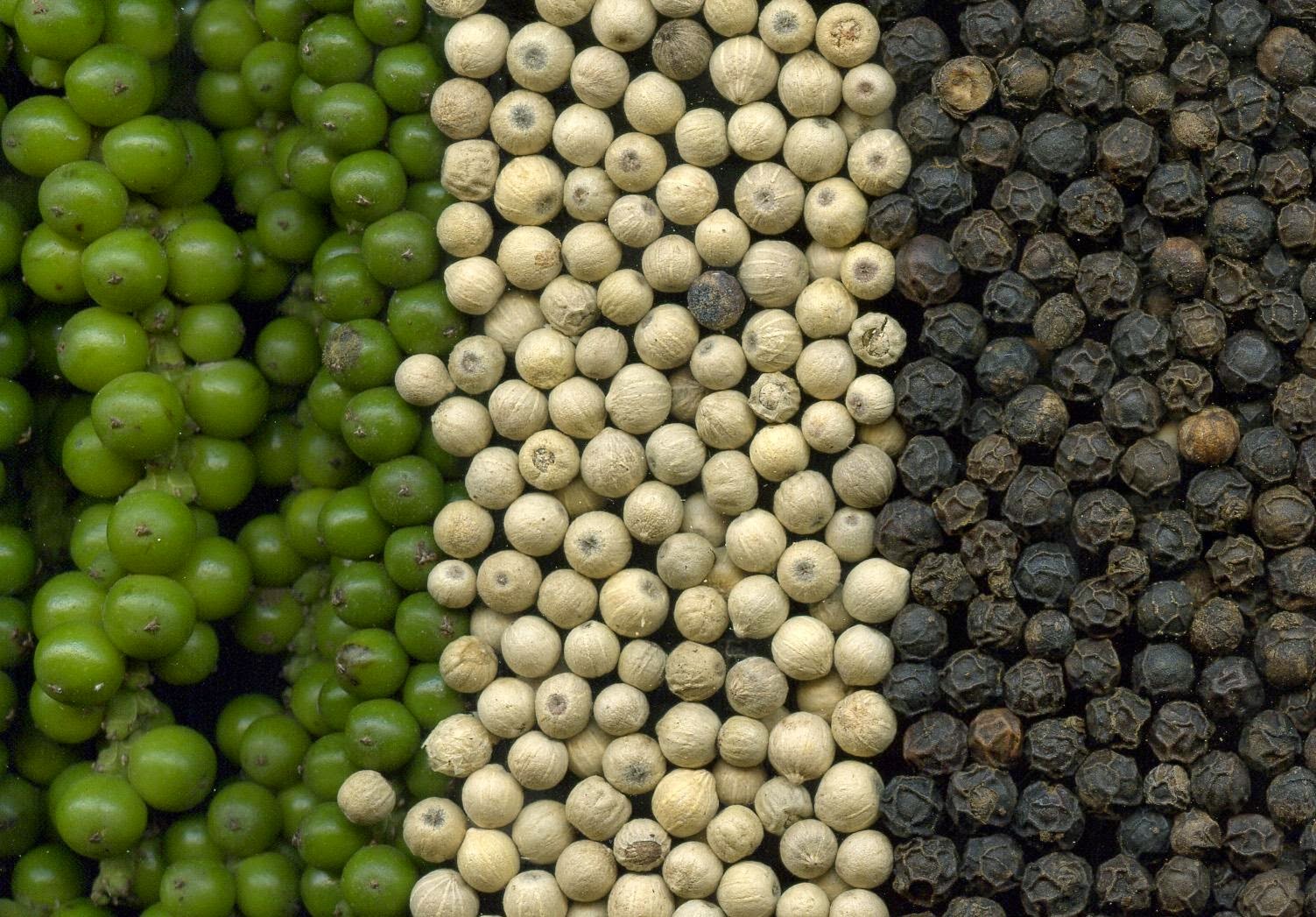 Bumbu Lada Memiliki Beberapa Jenis dan Manfaat, Baca Tuntas ya..!