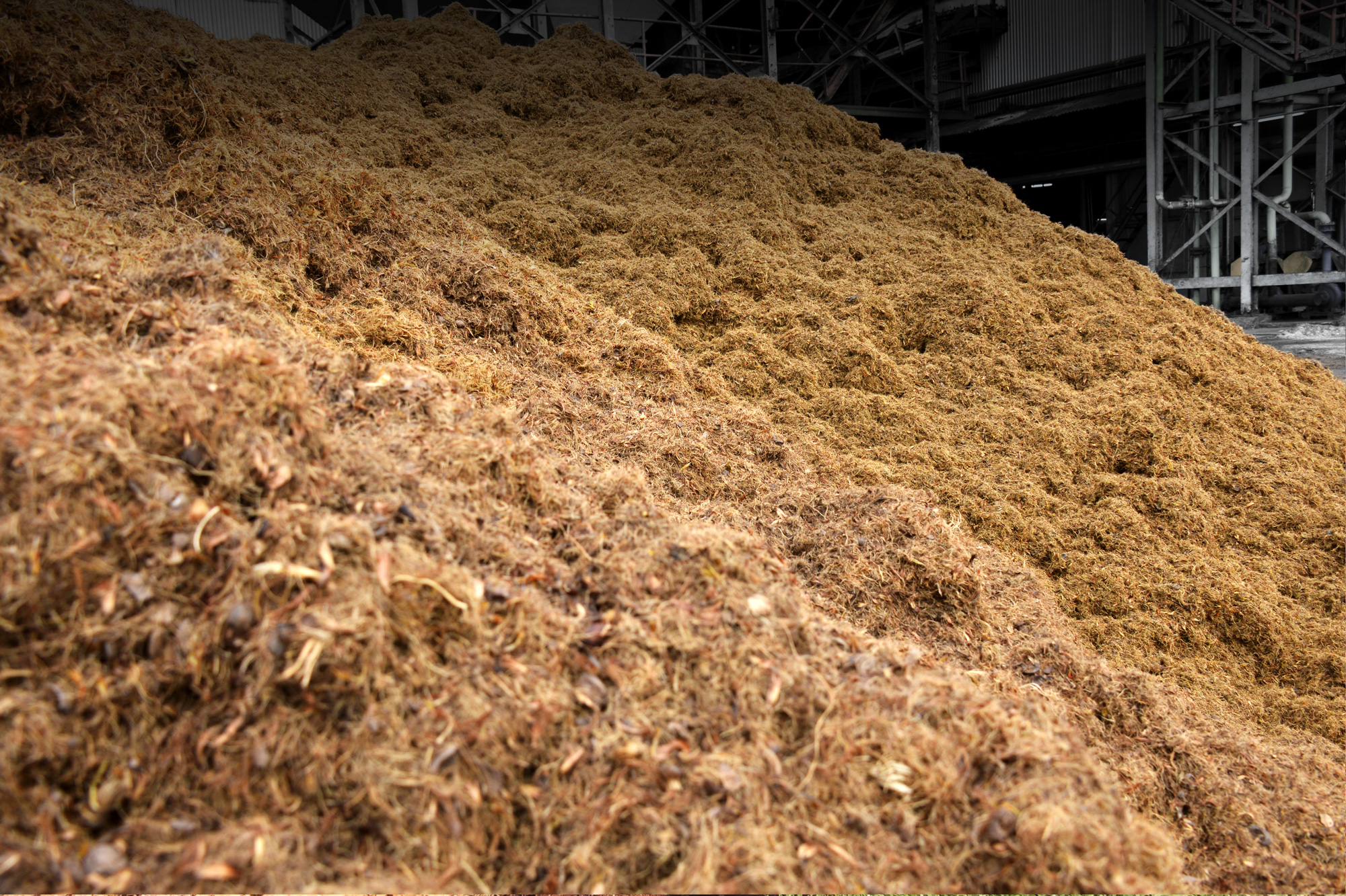 Pemanfaatan Tandan Kosong Kelapa Sawit untuk Pupuk Tanaman