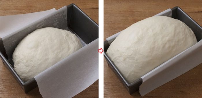 Proofer Roti-Mesin Pengembang Adonan Roti Terbaru | Rumah Mesin