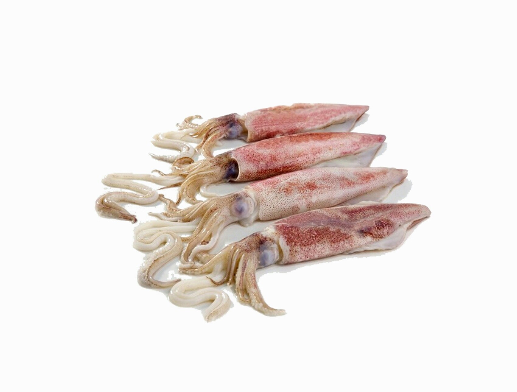 Resep Cumi Goreng Tepung Yang Renyah Dan Mudah Dijamin Crispy!