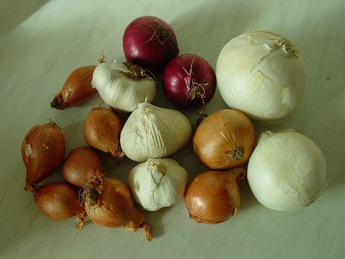 Cara Buat Sambal Bawang Yang Enak Dan Nikmat