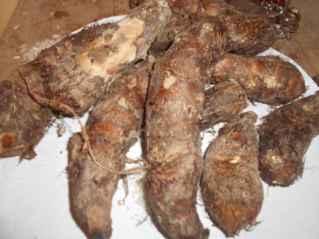 Olahan Ubi Talas Yang Enak Dan Juga Mudah Dibuat Dirumah