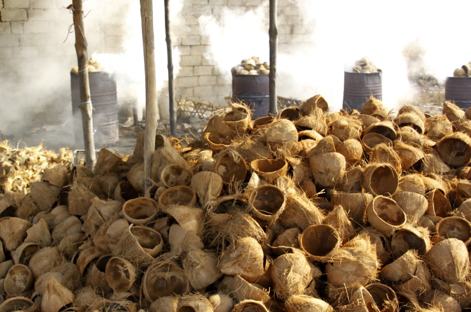 Membuat Briket Arang Tempurung Kelapa, Manfaatnya Luar Biasa Membuat Briket Arang Tempurung Kelapa, Manfaatnya Luar Biasa