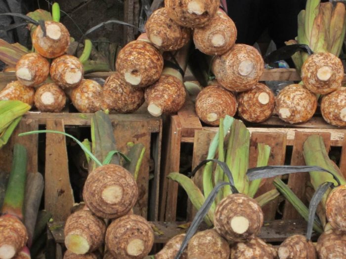 Cocok Di Olah Masakan Macam Macam Umbi Umbian