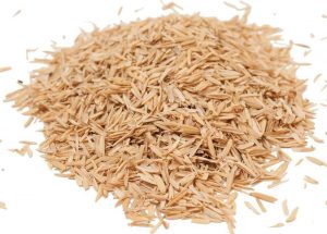 Briket Sekam Padi yang Mudah Dibuat dan Aman Untuk Digunakan