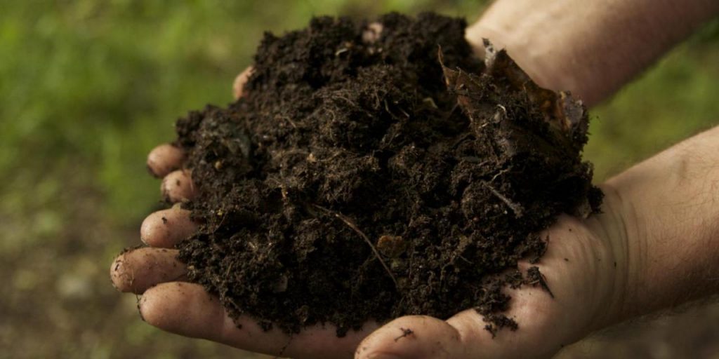 Cara Membuat Pot Sabut Kelapa Yang Benar, Mudah Dilakukan Cara Membuat Pot Sabut Kelapa Yang Benar, Mudah Dilakukan