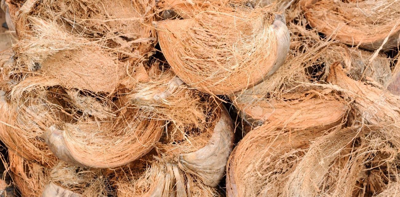 Cara Membuat Pot Sabut Kelapa Yang Benar, Mudah Dilakukan Cara Membuat Pot Sabut Kelapa Yang Benar, Mudah Dilakukan