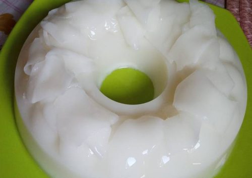 CARA MEMBUAT PUDING KELAPA MUDA