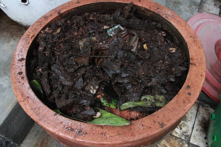 Cara Membuat Komposter yang Mudah dan Praktis