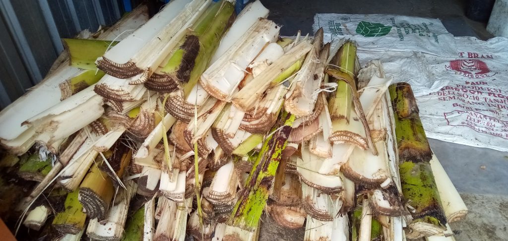 Mesin Pencacah Batang Pisang Terbaru - Melayani E Katalog