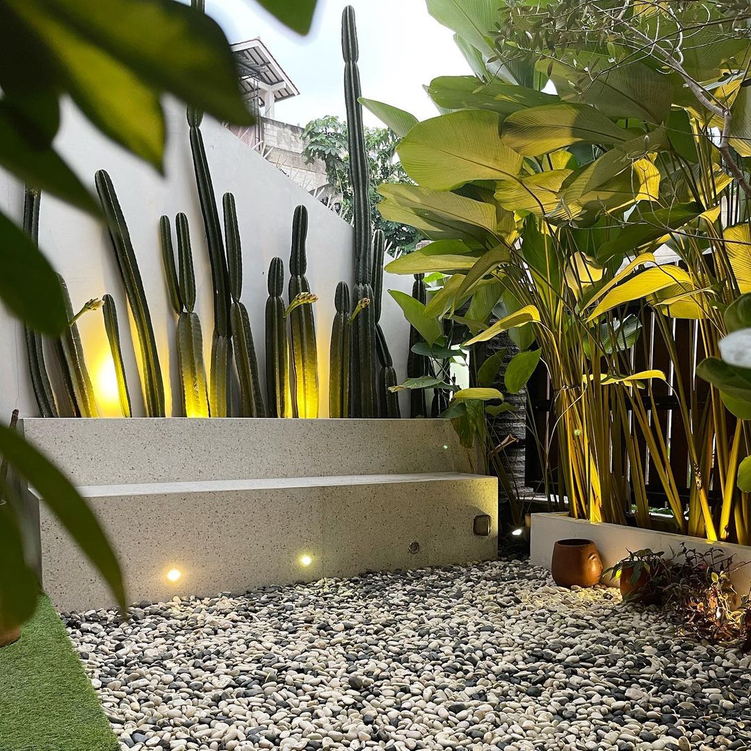 Fungsi batu koral dalam kehidupan sehari hari